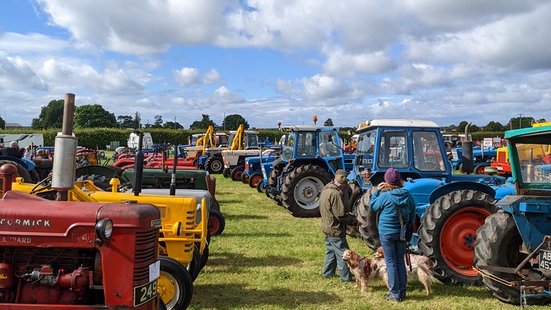 Car(ish) Show - Kelsall Steam Rally 2022 - BX Project